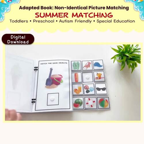 Summer Adapted Book Non-Identical Picture Matching | Special Education