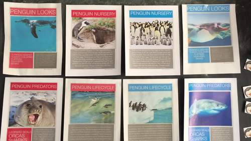 Penguin Reading Unit by Amy Labrasciano | TPT