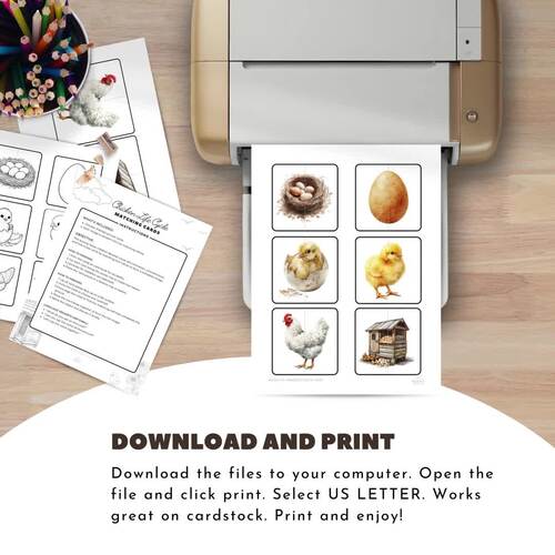 Chicken Life Cycle Matching Cards, Science Activity, Homeschool ...