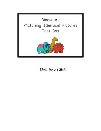 DINOSAURS Matching Identical Pictures Task Box by Pre-K Life | TPT