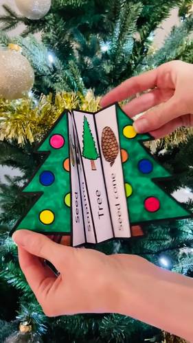 Life cycle of a Christmas tree foldable activity by Wonder at the World
