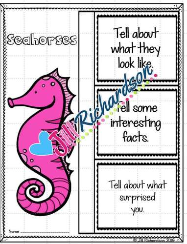 Seahorse Writing Flap books Ocean Animals Kindergarten, 1st, 2nd, & 3rd ESL
