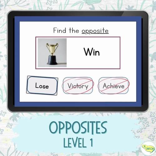 Opposites Boom Cards™ Bundle for Speech Therapy by In Unison Speech Therapy