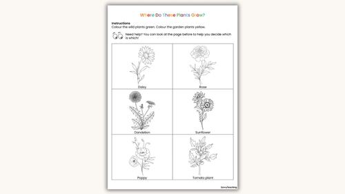 Year 1 Science Plants Workbook | Printable Science Lesson Resources