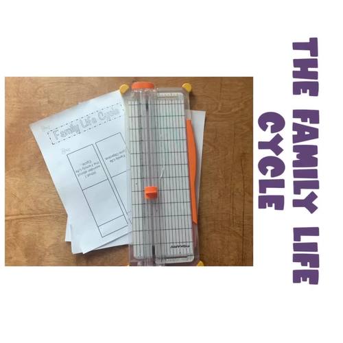 The Family Life Cycle by ShipleyMade | TPT