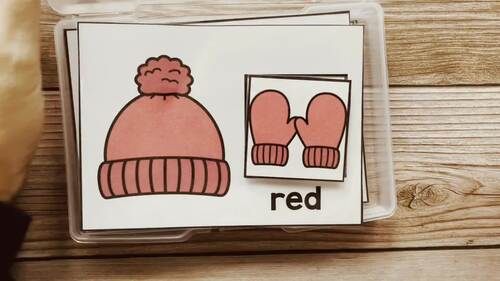 January Literacy & Math Activity Task Cards-Preschool, Kinder, Special Ed