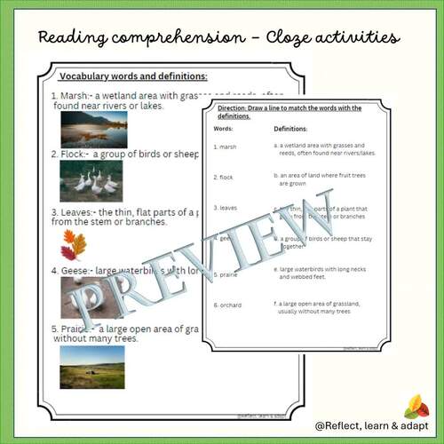 The Leaf Man - Reading Comprehension Adaptive Unit by Reflect-learn-adapt