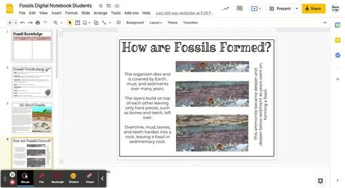 Fossils Digital Notebook | Fossil Formation Activity | Science Interactive