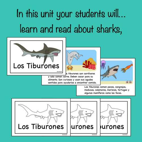 Los Tiburones - Spanish Nonfiction Writing Unit by Robin Shelton