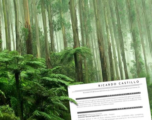 Customer Service Resume Template, Call Center Resume Word, Google Doc ...