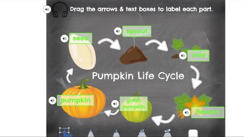 Digital Pumpkin Activity for Kindergarten and 1st Grade | Seesaw & Google