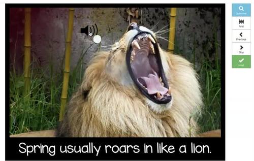 All About Spring Boom Cards - March Weather - Plants - Animals - Reading