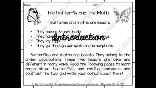 Butterfly and Moth Reading Comprehension Compare and Contrast... Opinion