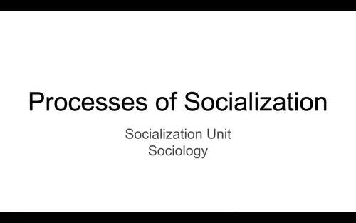 Processes of Socialization | TPT