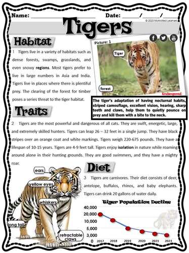 Main Idea Reading Comprehension: Safari Animals Reading Comprehension