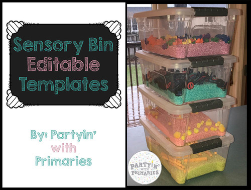 Sensory Bin Creation by Partyin' with Primaries | TPT