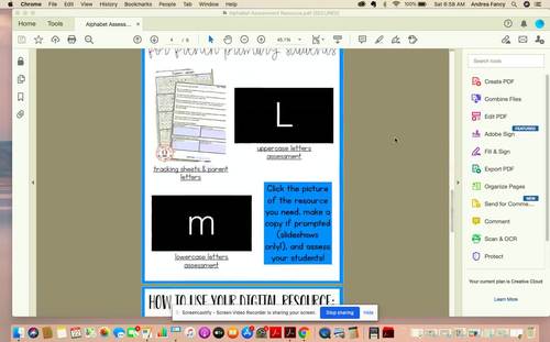 French Letter Recognition Assessment/Parent Letter | No-Prep Alphabet ...