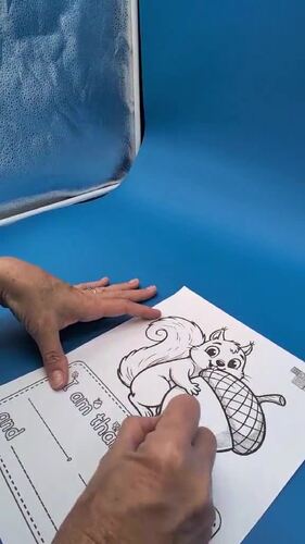 $1 Sale I am Thankful for Writing Activity Fall Squirrel Craft by BottsyFUN