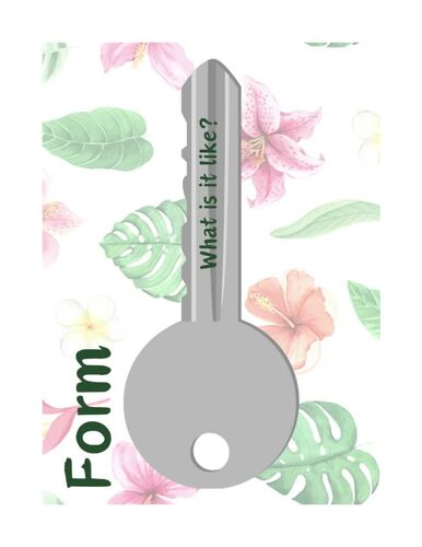 IB PYP Key Concepts Poster Set Classroom Display Decoration - Jungle Theme