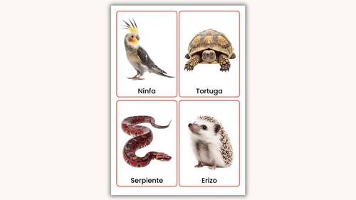 Spanish Pets Flashcards | Printable Spanish Vocabulary Cards by Savvy ...