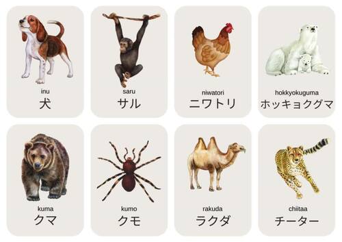 48 English-Japanese Flashcards with Romaji | Animals by CendulkaCreations