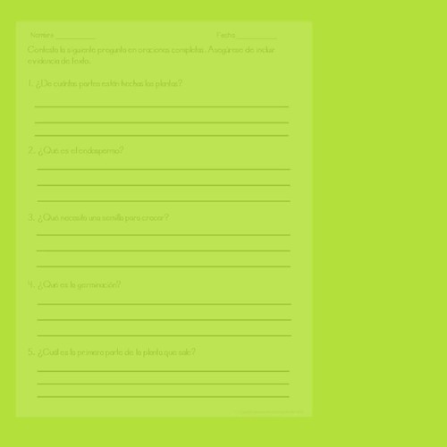 Spring | From Seed to Plant Reading Comprehension Passage | TPT