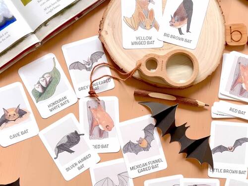 Bats Flash Cards Halloween Autumn Toddler Flashcards Fall Nomenclature ...
