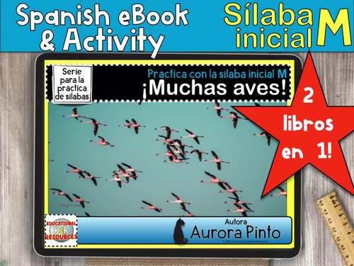 Sílaba M 2 libros y actividades by R and R Educational Resources