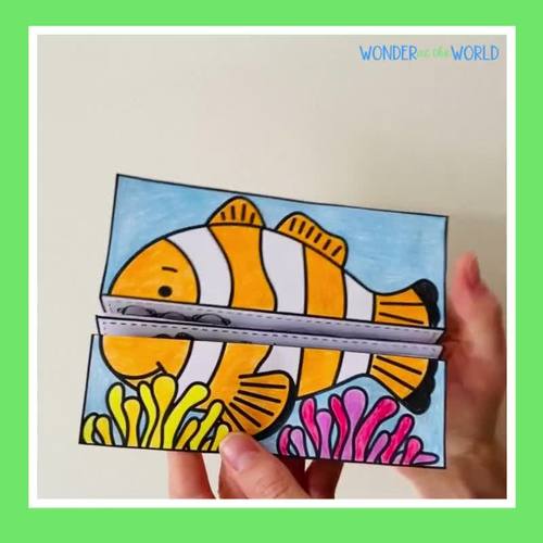 Life cycle of a clownfish fish sequence and fold activity cut and paste ...