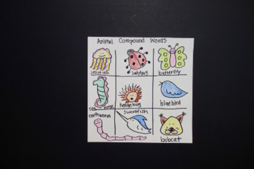 Let's Draw Animal Compound Words! by Patty Fernandez Artist | TPT