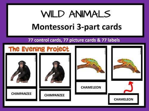 WILD ANIMALS Montessori 3-part cards with real photographs | TPT