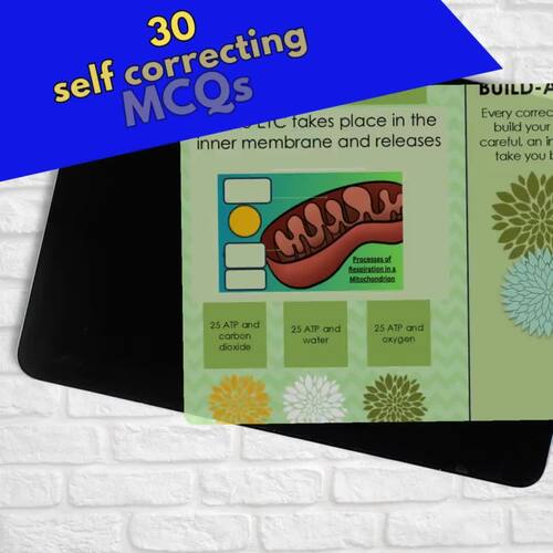 Photosynthesis and cellular respiration review worksheet and digital game