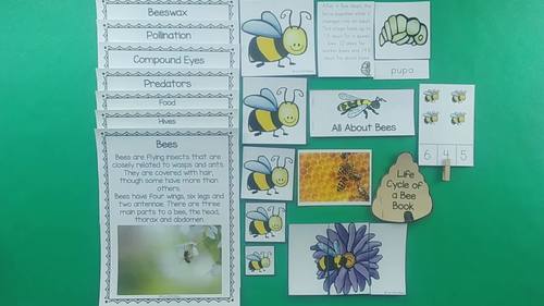 Bee Life Cycle & Facts Activity Pack | Insect Science Unit for Kindergarten
