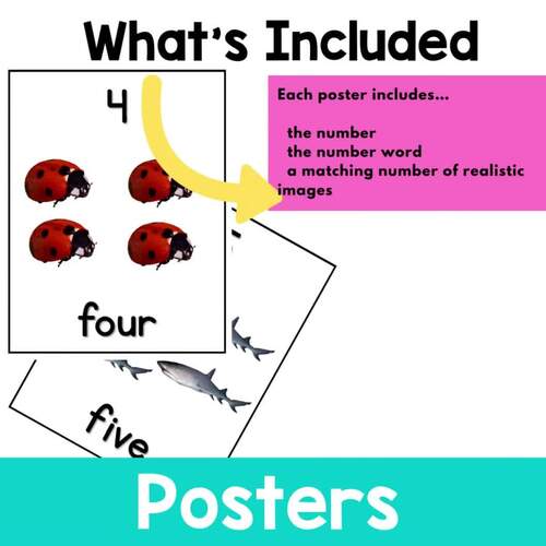 Number Posters - Posters With Realistic Pictures And Numbers | Tpt