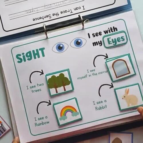 Five senses Preschool Bundle,5 senses preschool lesson plan ...