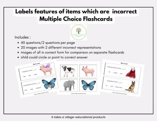 What is wrong? Identify incorrect features BUNDLE (ABLLS-R aligned G28)
