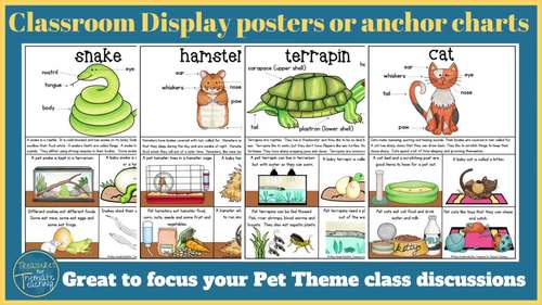 Pets Posters by Treasures for Thematic Teaching | TpT