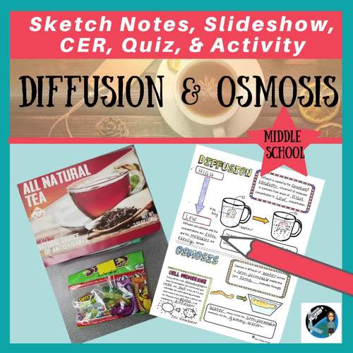 Diffusion And Osmosis Science Interactive Notebook Sketch Notes And Lab Activities
