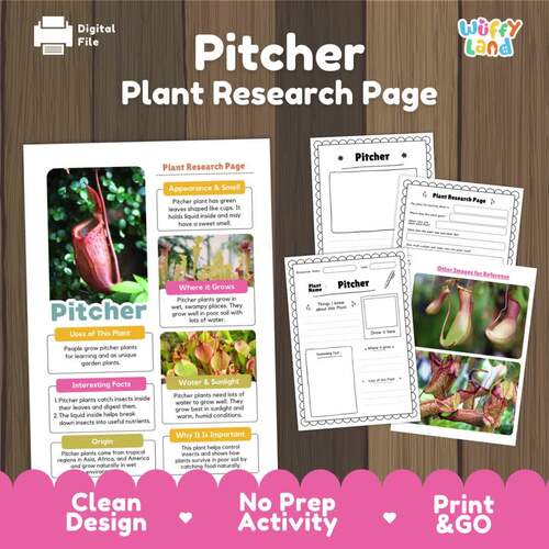 Pitcher Plant Life Cycle Carnivorous Plant Research 3 Part Cards Real ...