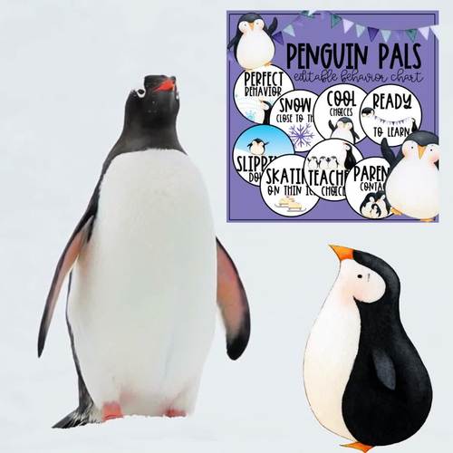 EDITABLE Behavior Chart | Penguin Theme by moonlight crafter by Bridget