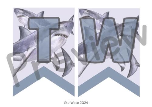 Fact File Great White Sharks Worksheet Research PROJECT | Ocean Activities