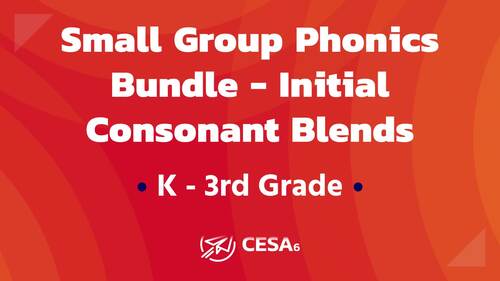 Small Group Phonics Bundle - Initial Consonant Blends: K - 3rd Grade by ...