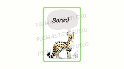 35 Wild Adventures Await: Safari Animal Flashcards for Kids - Explore ...