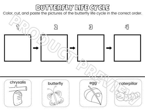 Transitions and Changes Butterfly Life Cycle Printable includes Color ...