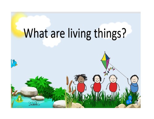 Living Things for 1st Grade by Aleph's Teaching Resources | TpT