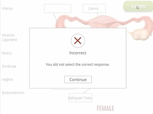 Identify Parts of the Reproductive System - M&F - Instant Feedback ...
