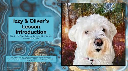 Mindfulness Emotional Regulation Self Control SEL No Prep LESSON 7 Vid ...