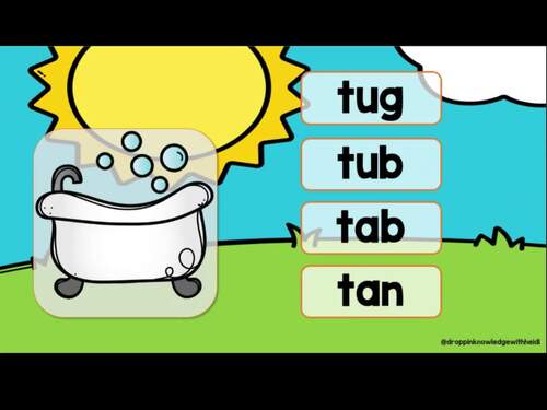 Orthographic Mapping - Look Alike CVC Words - Google Slides Self Checking