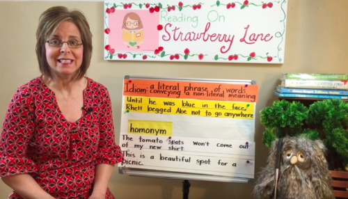 VIDEO: Reading: Set 1. Lesson 32. Word Family Pattern -id | TPT