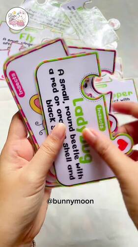 Flash Cards insects and sea animals (Bundle) by Bunnymoon | TPT